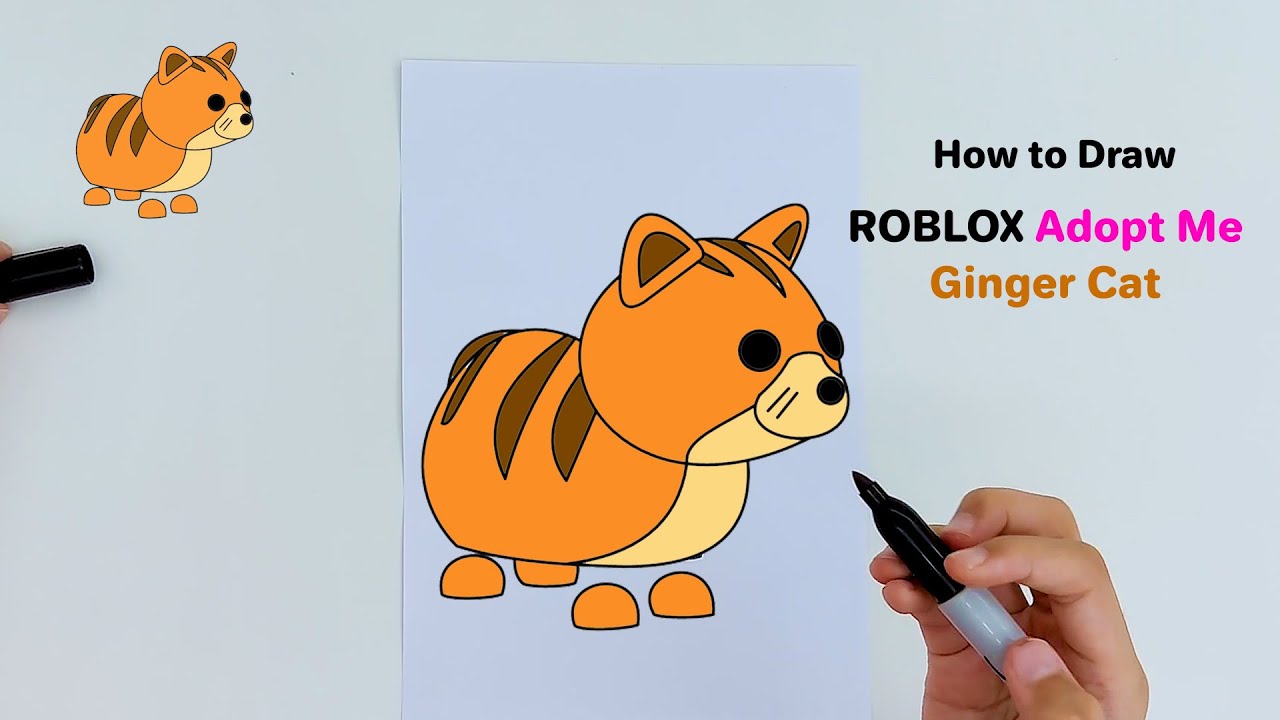 How to Draw a Ginger Cat - Roblox Adopt Me Pet - YouTube