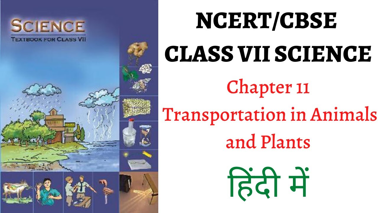 Chapter 11 (Transportation in Animals and Plants) Class 7 SCIENCE NCERT ...