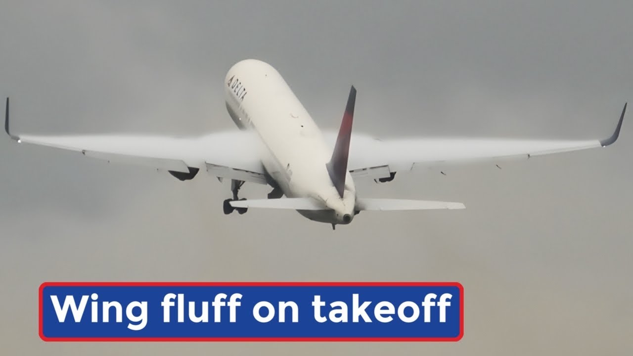 Delta B767 wing fluff and pilot wave #planespotting #avgeek #aviation # ...
