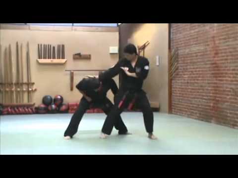 Rick Jeffcoat's - American Kenpo Karate - Techniques: Glancing Wing.mov ...