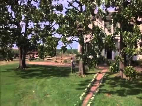 Color Purple: Ms. Celie-Dear God I'm Here! - YouTube