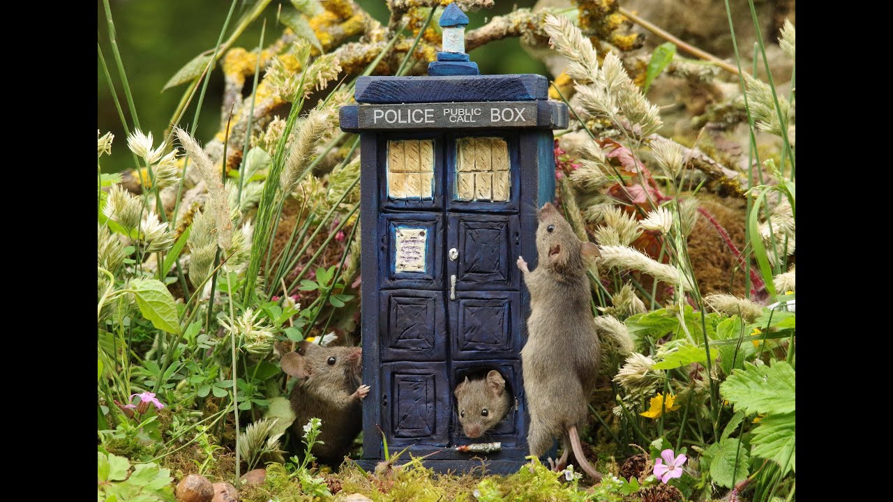 Dr Who Mouse is getting the Tardis ready - YouTube