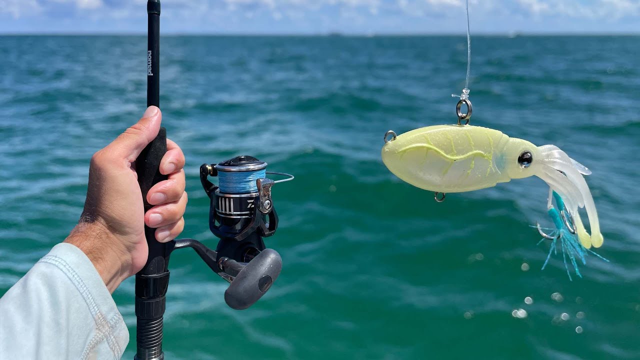 Ocean Jigging w/ a SQUID LURE and LIVE BAIT Fishing - Multi-Species ...