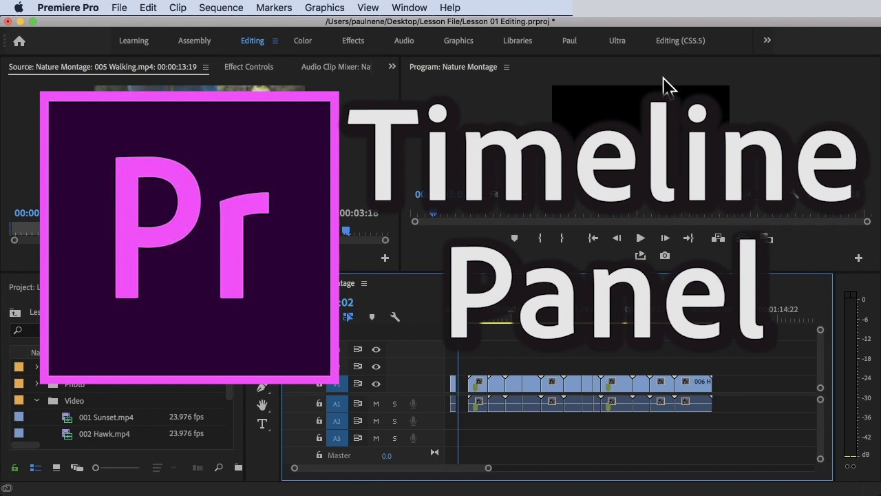 How to Timeline Panel in Premiere Pro CC 2020 - YouTube