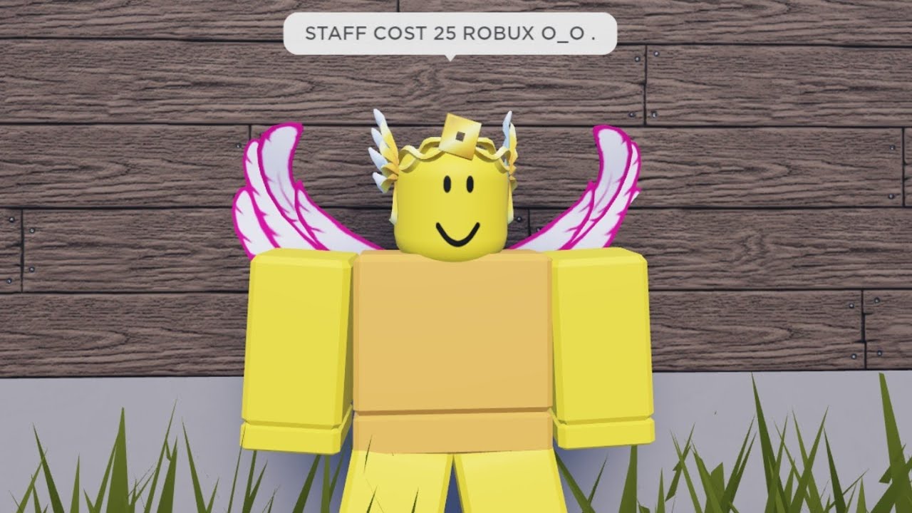 The Roblox Buying Staff Rank On The Group [RIP -25 ROBUX AGAIN.] - YouTube