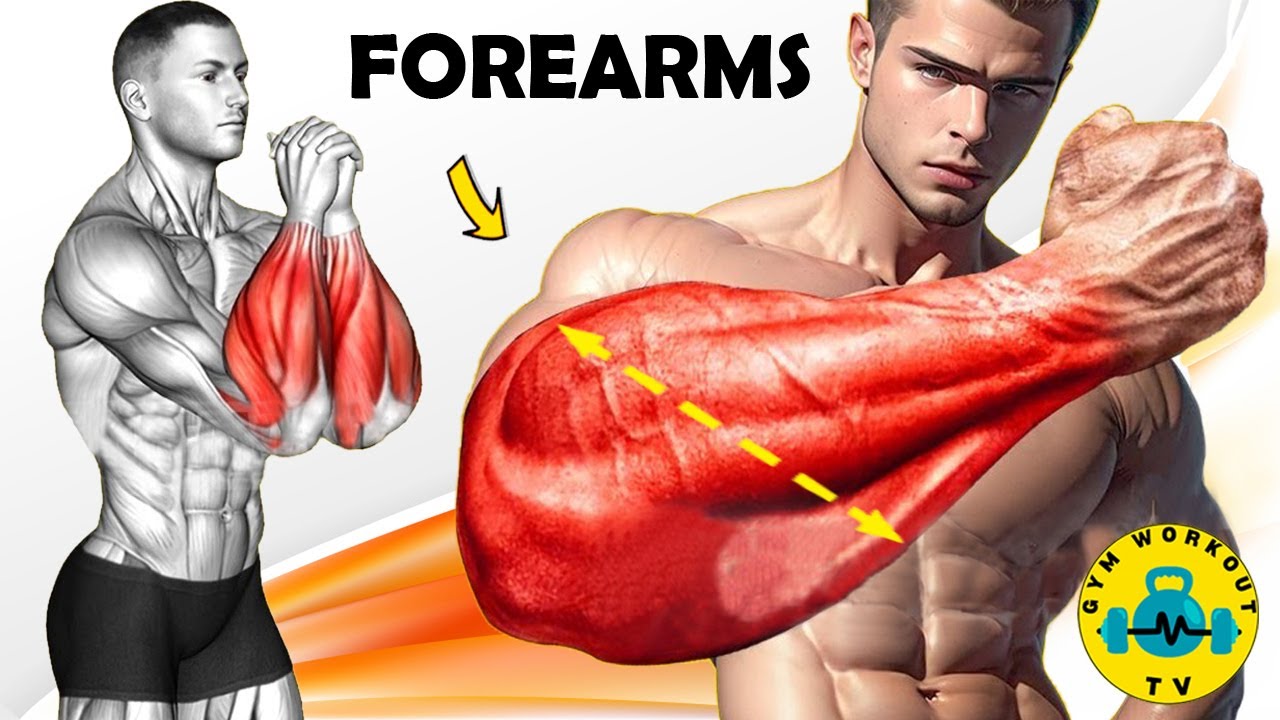 Get Big Forearms Fast With These 6 Gym Workouts! Just 5 Minutes A Day ...