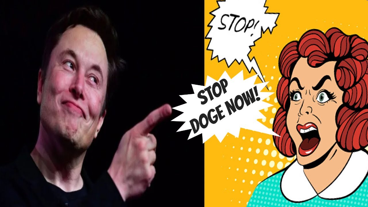 DEMOCRATS VS ELON AND DOGE OVER FEMA AND USAID INVESTIGATIONS - YouTube