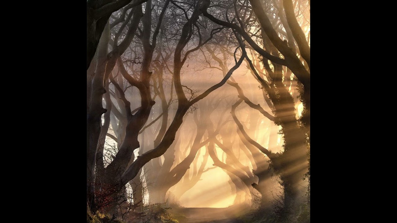 서기 2525년에 (In The Year 2525) - YouTube