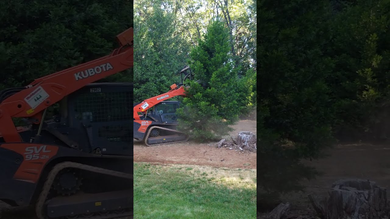 Kubota SVL95 With an FAE Masticator Head. - YouTube