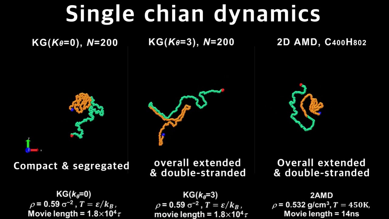 Single chain in 2D - YouTube