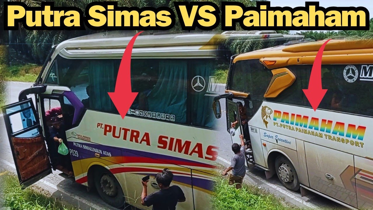 Bus Putra Simas Vs Putra Paimaham Persaingan Sangat Keras Bersaing Di ...