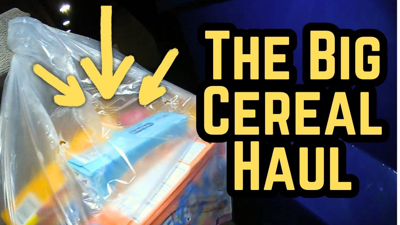 Dumpster Diving Food Haul 2024: Breakfast Dumpster Diving Jackpot ...