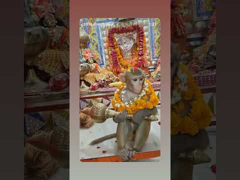 10 September 2025 - YouTube