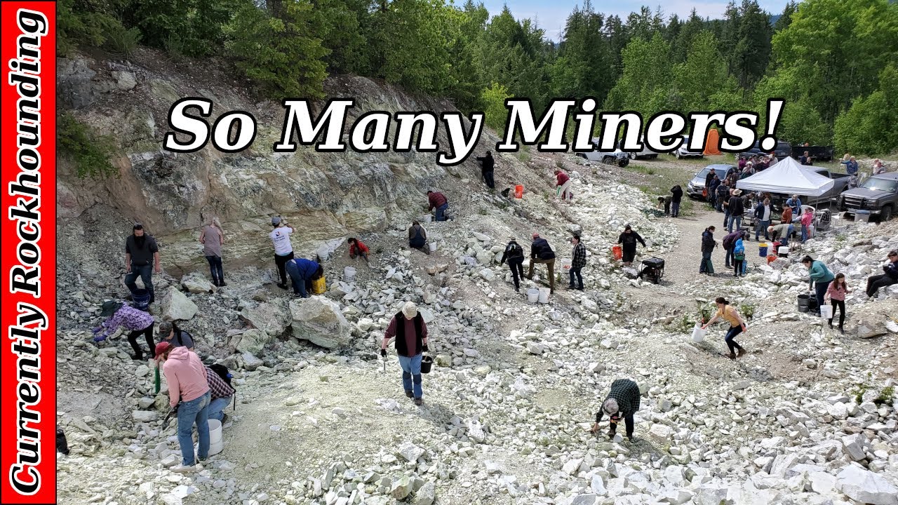 Wild Day at the Wild Turkey Mine // Digging Noble Serpentine - YouTube