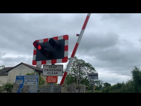 **Rare halogen pedestrian light + faulty alarm** Sandy Lane level crossing