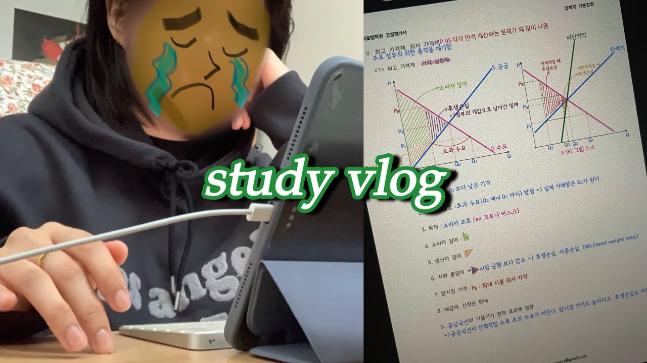 Vlog 슬픔이가 지배한 수험생 L 감정평가사 수험생 L 수험생 브이로그 L 고시생 브이로그 L 일상 브이로그 L 스터디