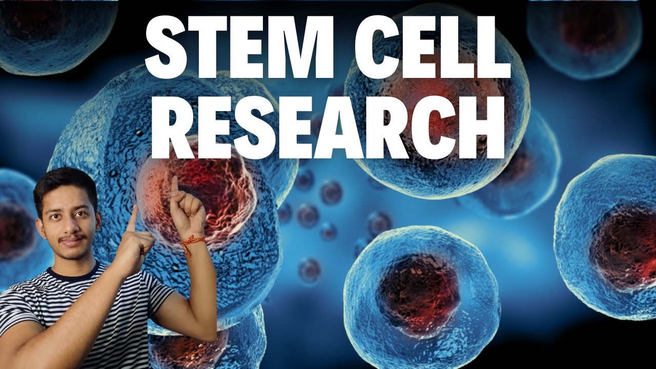 The Breakthroughs in Stem Cell Research and Regenerative Medicine: A ...