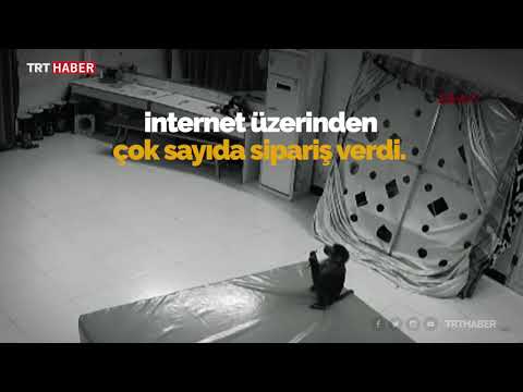 Çin'de maymun, bakıcısının telefonundan sipariş verdi