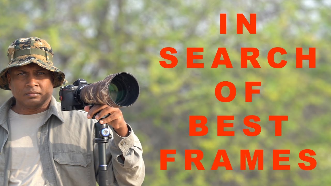 In search of capturing best frames - 4K - YouTube