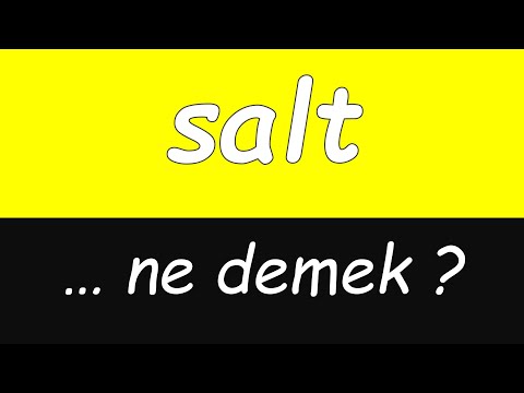 SALT ... ne demek?