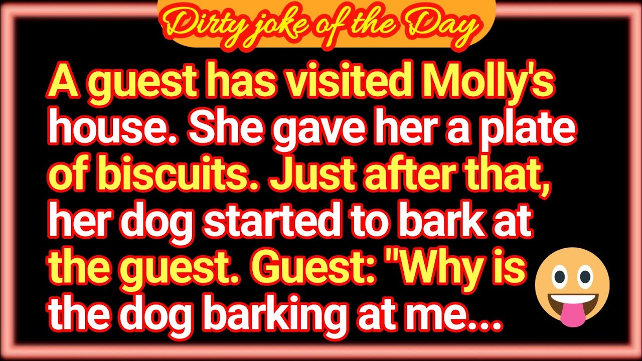 A guest has visited Molly's house || funny jokes|| dad jokes ||dirty ...