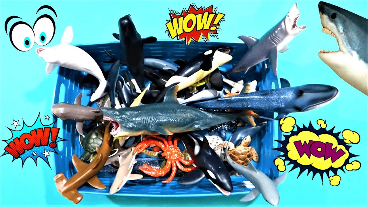 MEGALODON & co BOX Sea Animals Animales Marinos 海洋生物 - YouTube