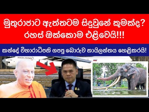 What really happened to Muthuraja? Here is the reason for visiting the ...