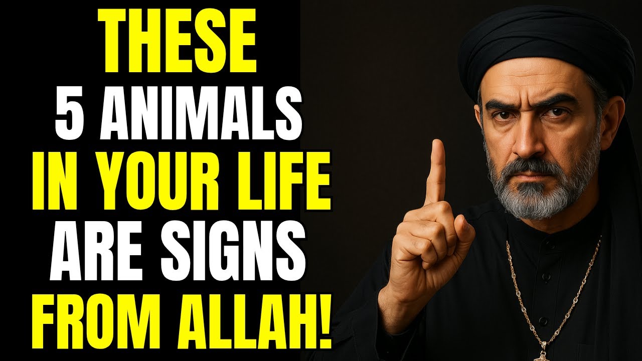 These 5 Animals in Your Life Are Signs from ALLAH | Islamic Symbolism ...