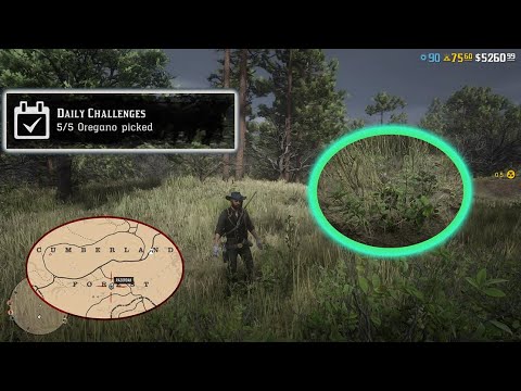 RDR2 Online - Oregano locations (EASIEST spots!) - YouTube