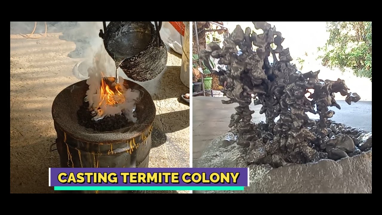 Termite Colony Cast