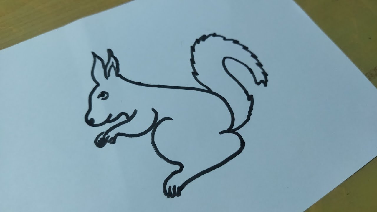 Squirrel drawing | simple way to draw a squirrel | how to draw a ...