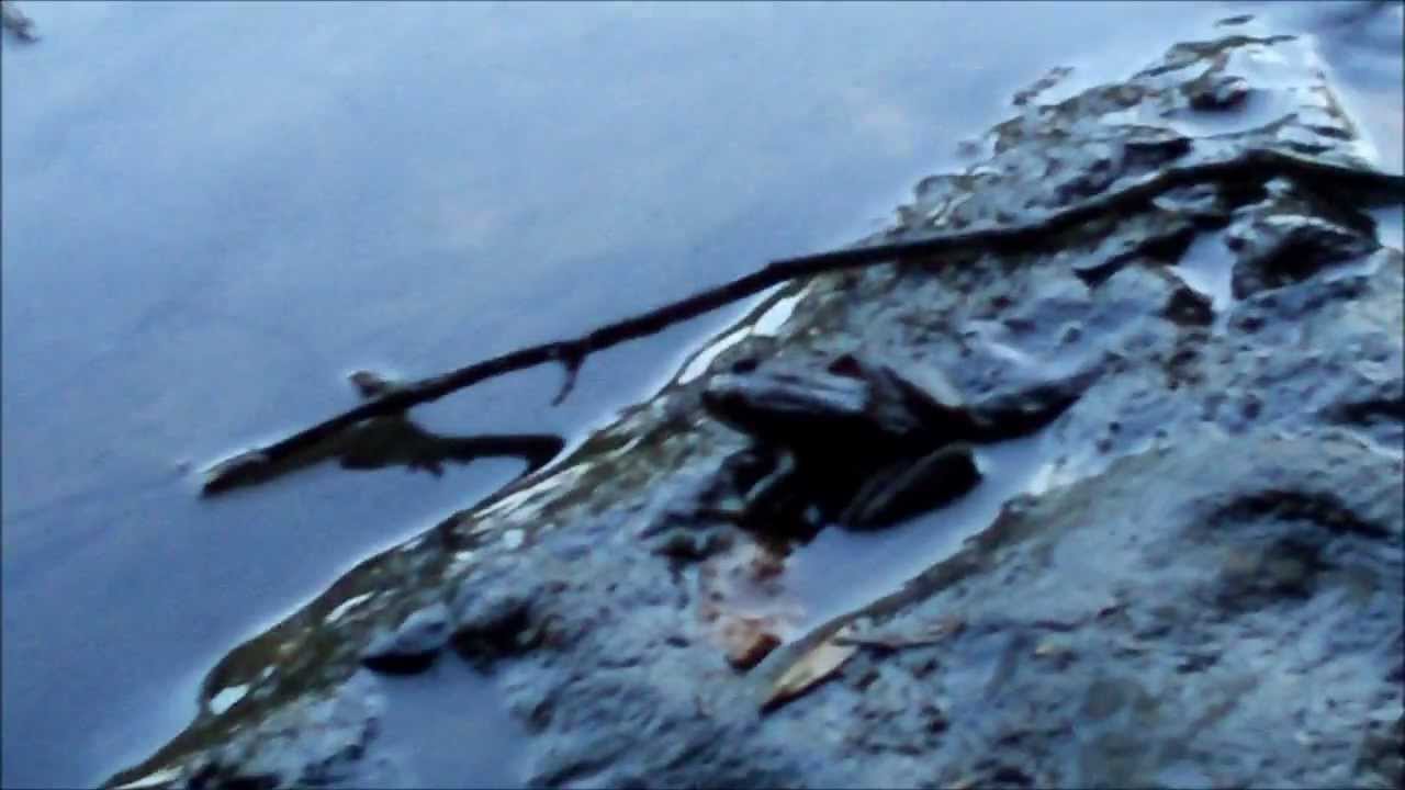 Waterloo Park - Lebanon, Oregon - August 2011 - YouTube