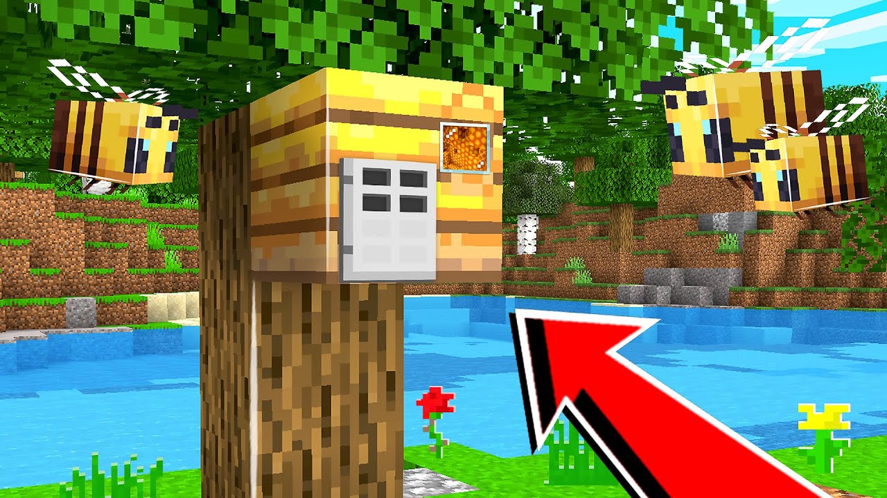 How to LIVE inside a MINECRAFT BEE HIVE! - YouTube