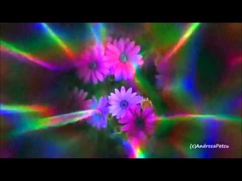 ***TUNCEL KURTİZ *** TUT YÜREĞİMDEN USTAM***