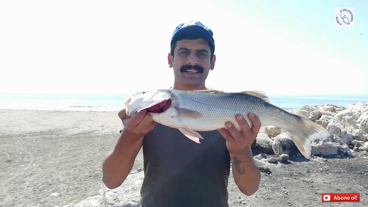 LEVREK AVI / BALIK AKSİYON HEYECAN BİR ARADA - YouTube