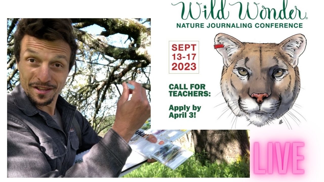 Wild Wonder 2023 Full Schedule Review! - YouTube