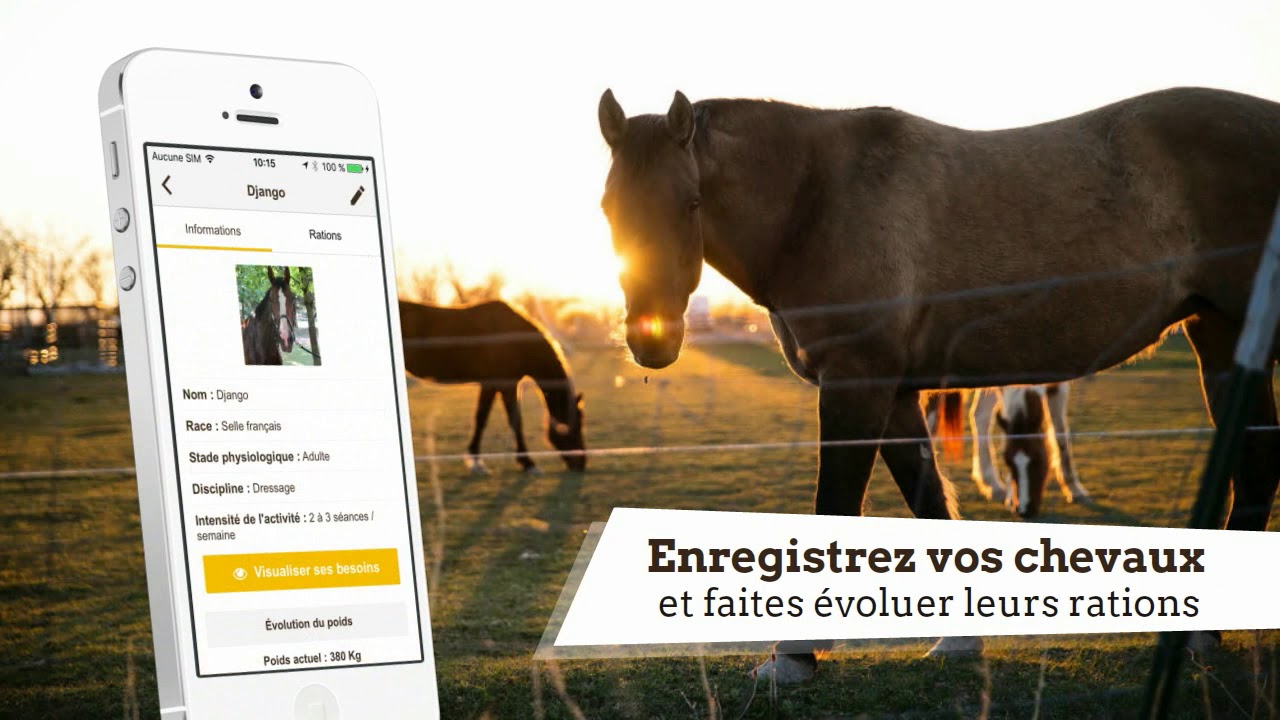 Bien nourrir son cheval avec l'appli DESTRIER - YouTube