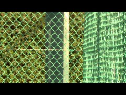 David Coffer TV 5 Interview - YouTube