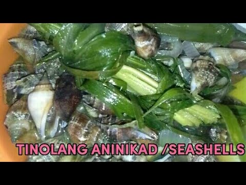 TINOLANG ANINIKAD /SEASHELLS #SOUP#murangulam - YouTube