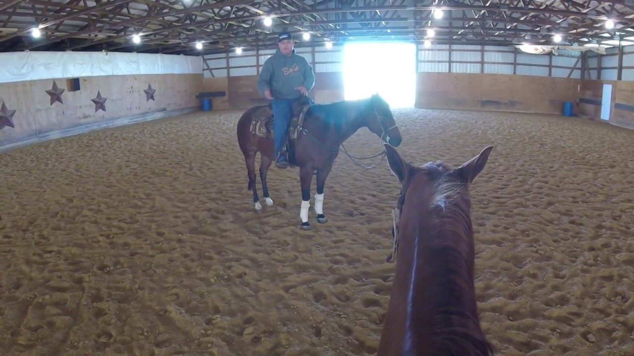 Mike Davis Professional Reining Horse Trainer Turnaround Exercise - YouTube