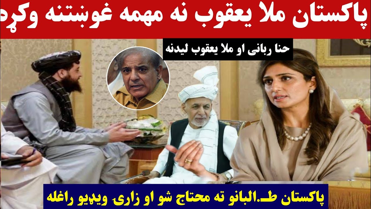 پاکستان اخیر هم طـ.البانو ته محتاج شو او له ملا یعقوب نه یی تازه غوښتنه ...