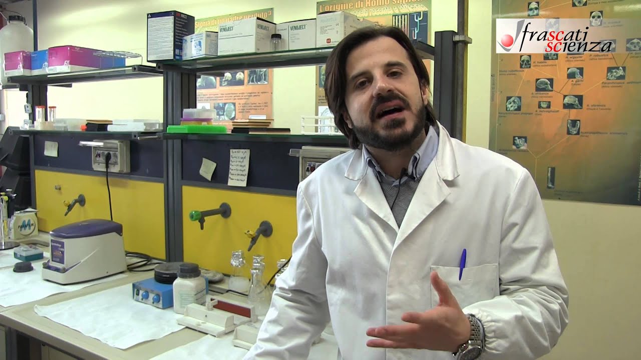 Frascati Scienza intervista Gabiele Scorrano - YouTube