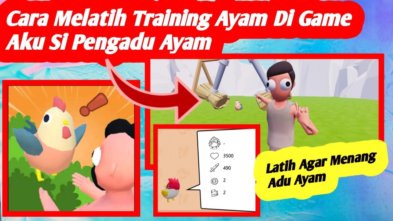 Cara Melatih Ayam Agar Menang Adu Ayam Di Game Aku Si Pengadu Ayam ...