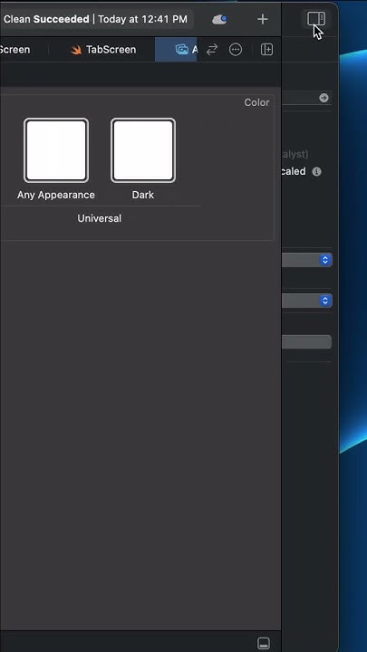 How To Make Colors In Xcode App On Shorts Pt 11 Swiftui Iosapp Iosdev Learntocode Code 
