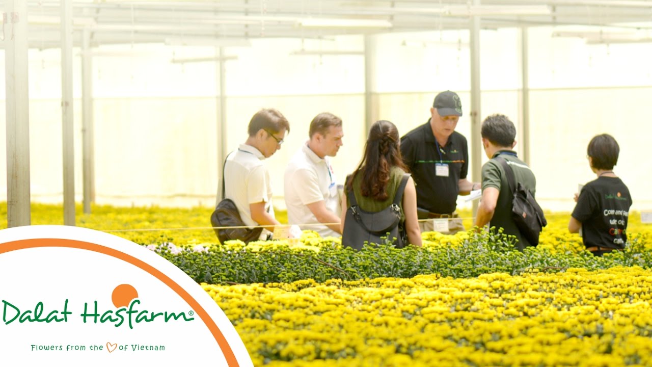 SỨ MỆNH VÀ TẦM NHÌN CỦA DALAT HASFARM - YouTube