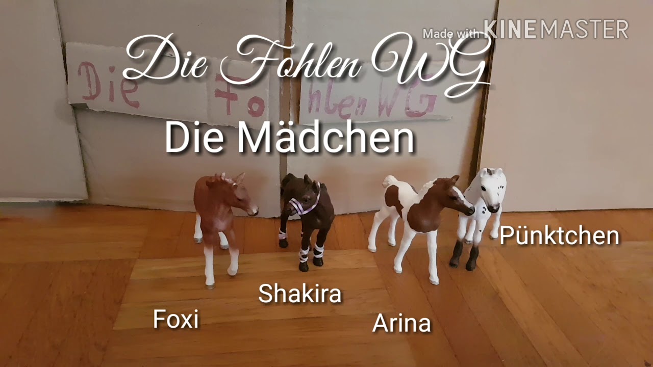 ♡Die Fohlen WG 🐎 Folge :1 Die Ankunft ♡ - YouTube