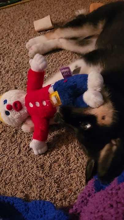 Oh No Mr Bill - YouTube