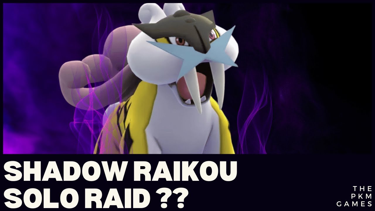 Shadow Raikou Solo Raid - Let’s see what happens with an average team ...