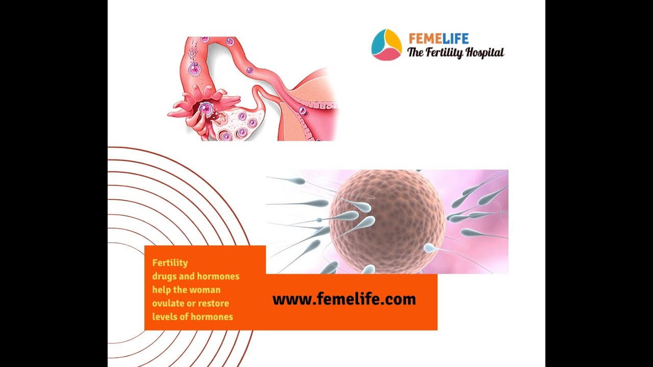 IVF Process - Step by Step - YouTube