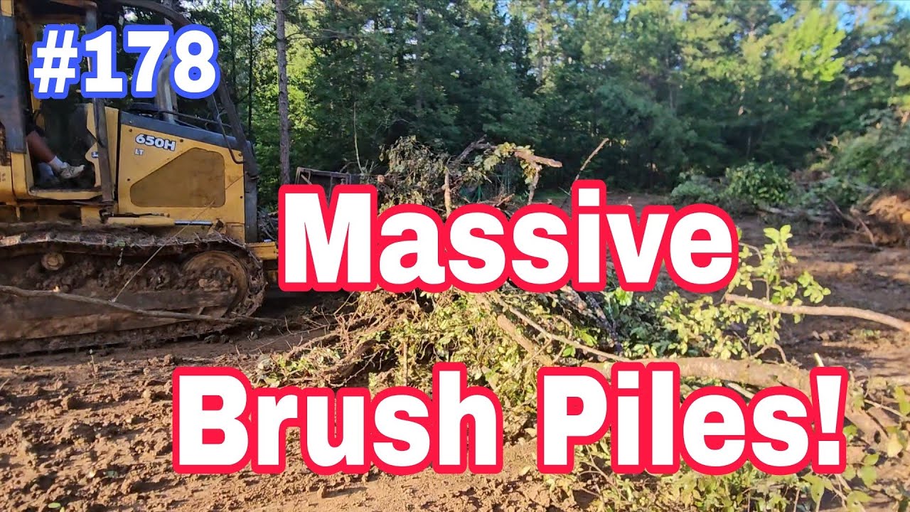 Piling Brush and Starting A New Logging Job‼️ - YouTube